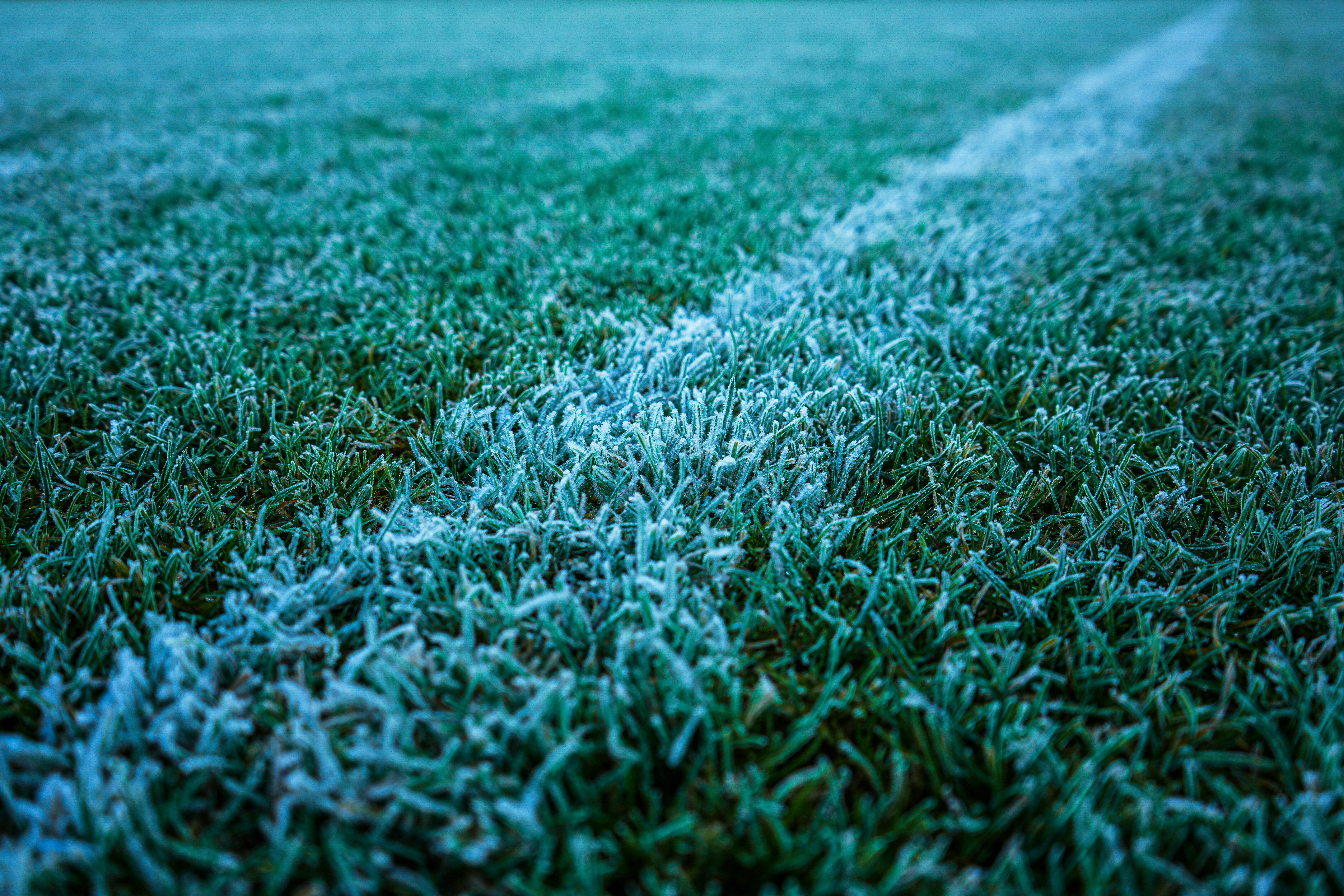 Freezing temperatures lead to Farnham Town, Badshot Lea and Petersfield ...